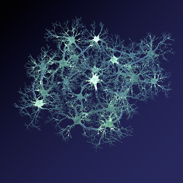 3d model neural network