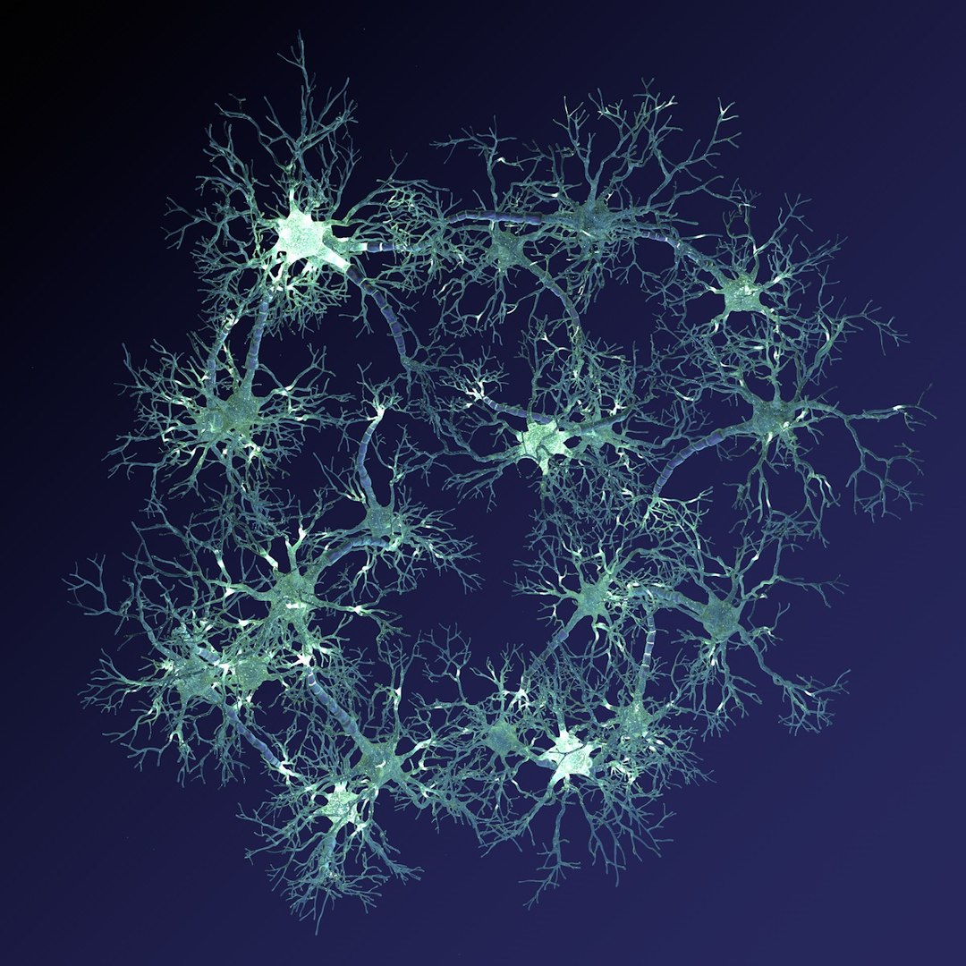 3d model neural network