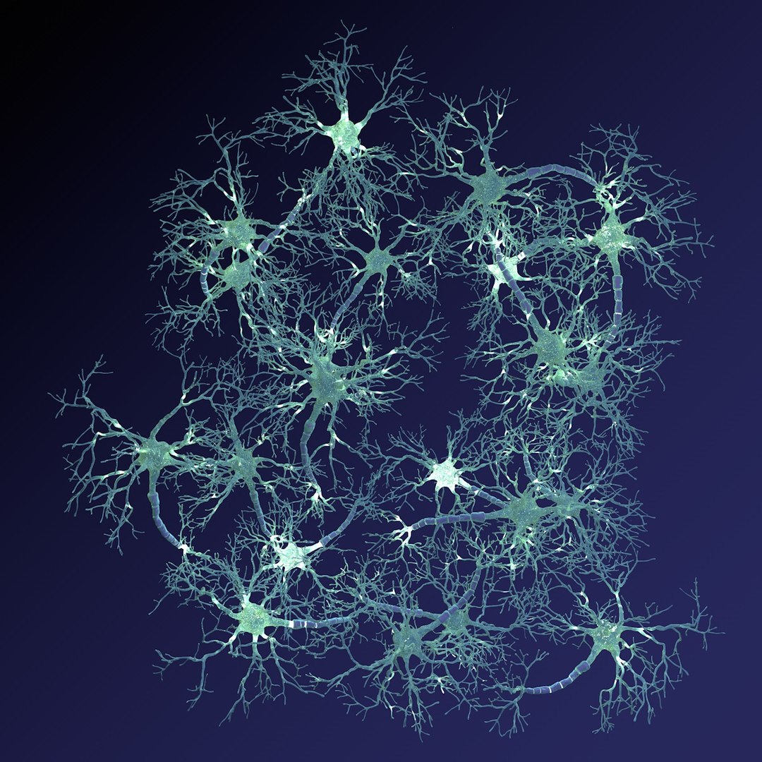 3d model neural network