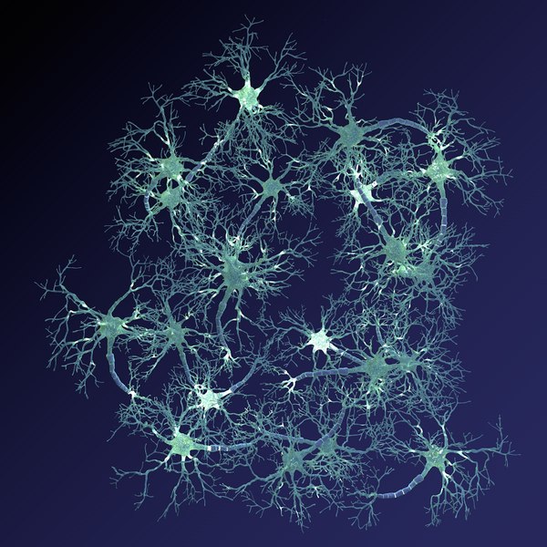 3d model neural network