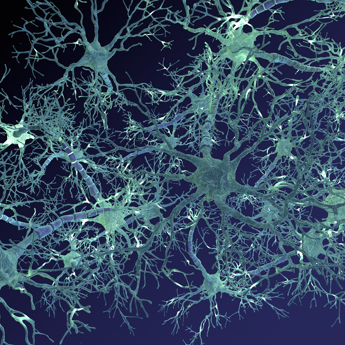 3d model neural network