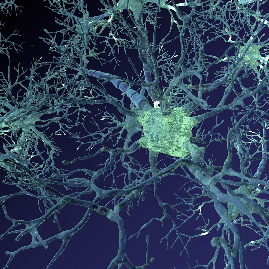 3d model neural network