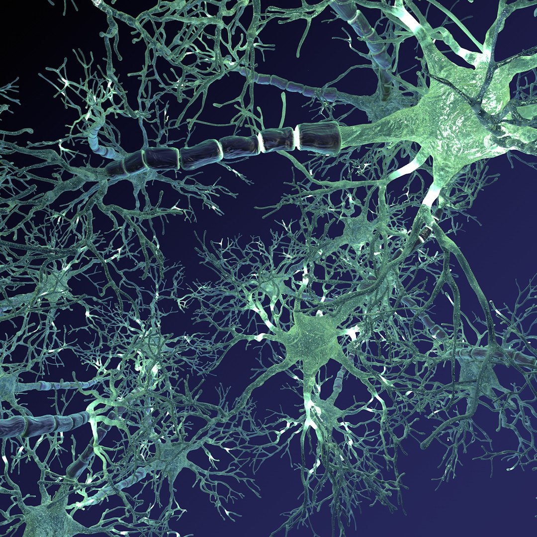 3d model neural network