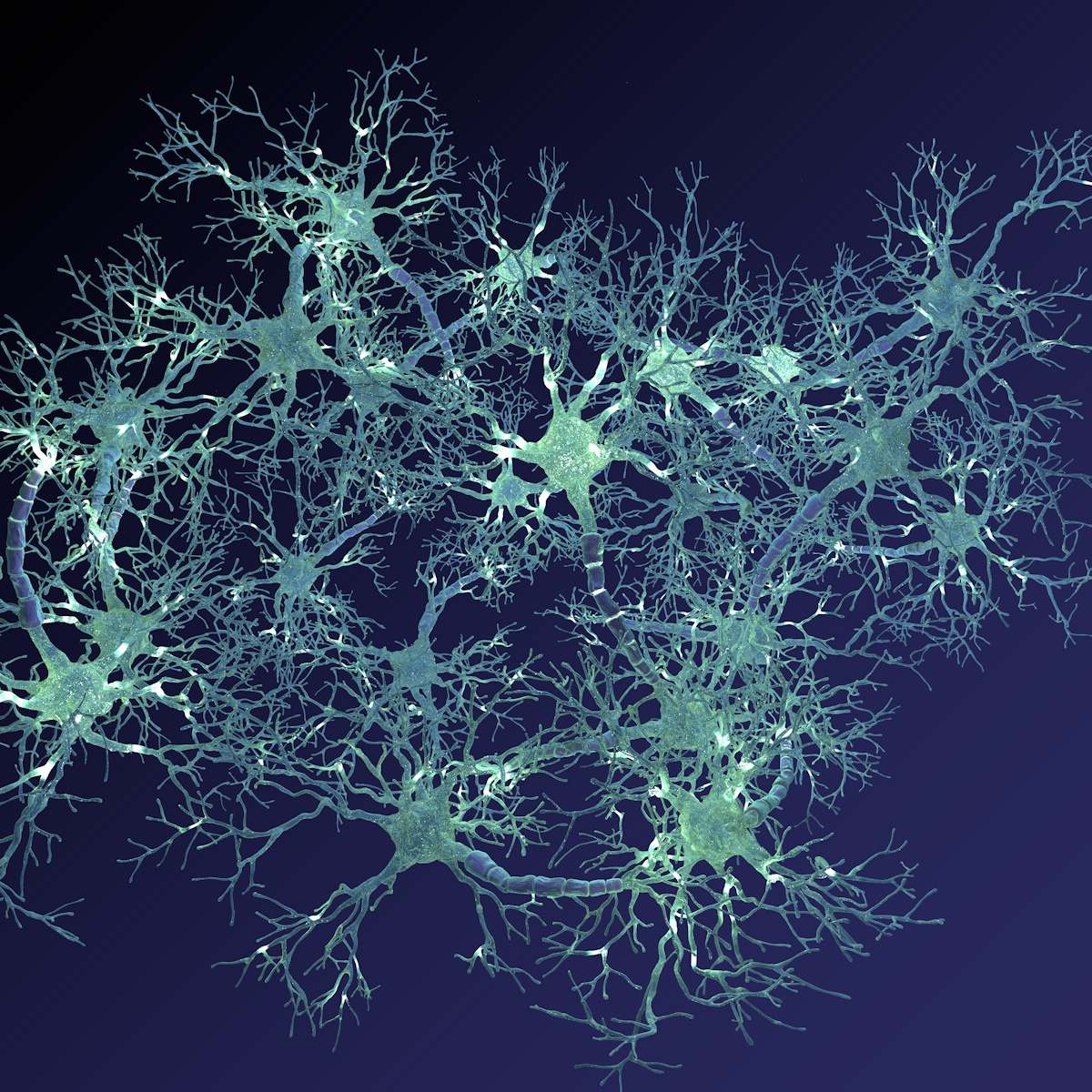 3d model neural network