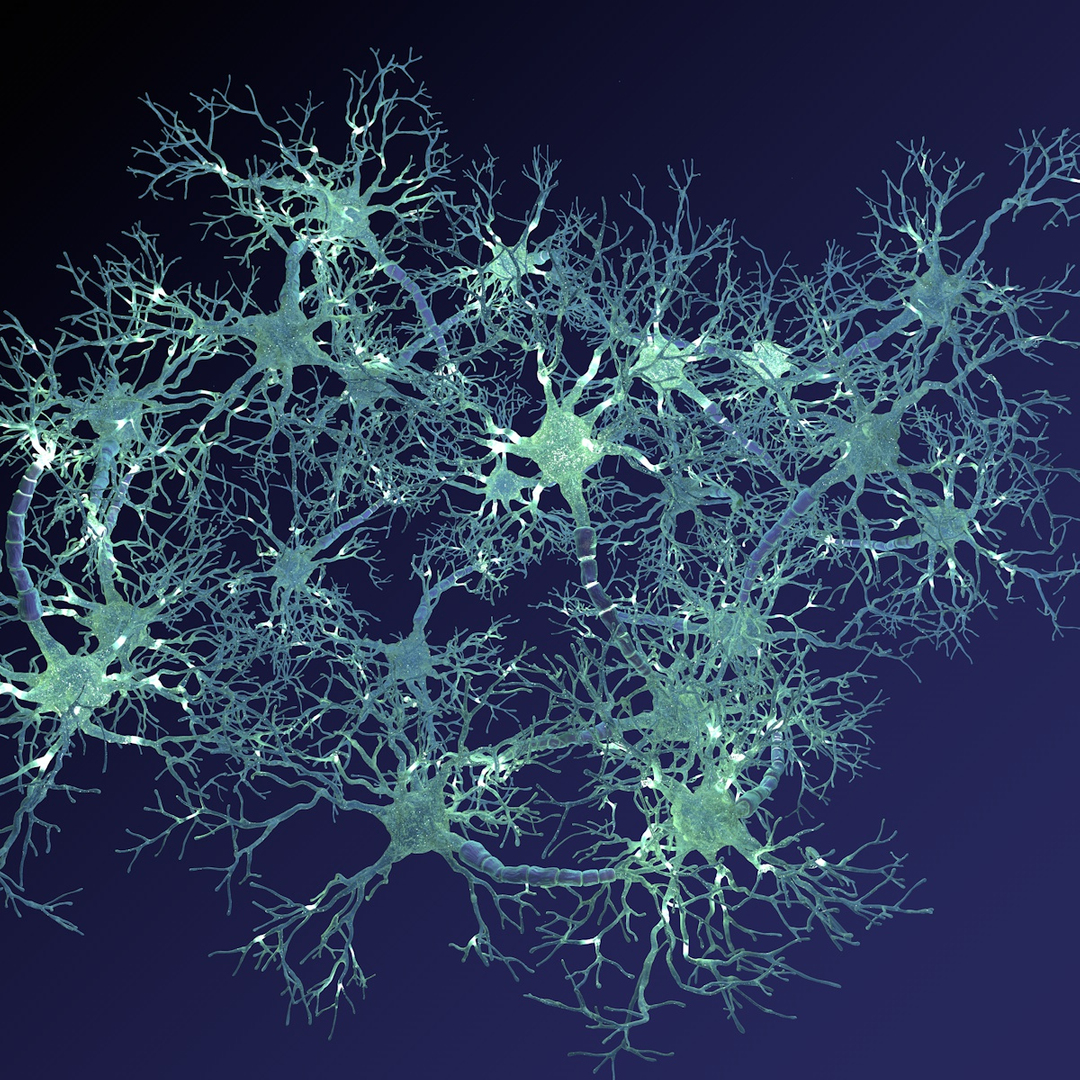 3d model neural network