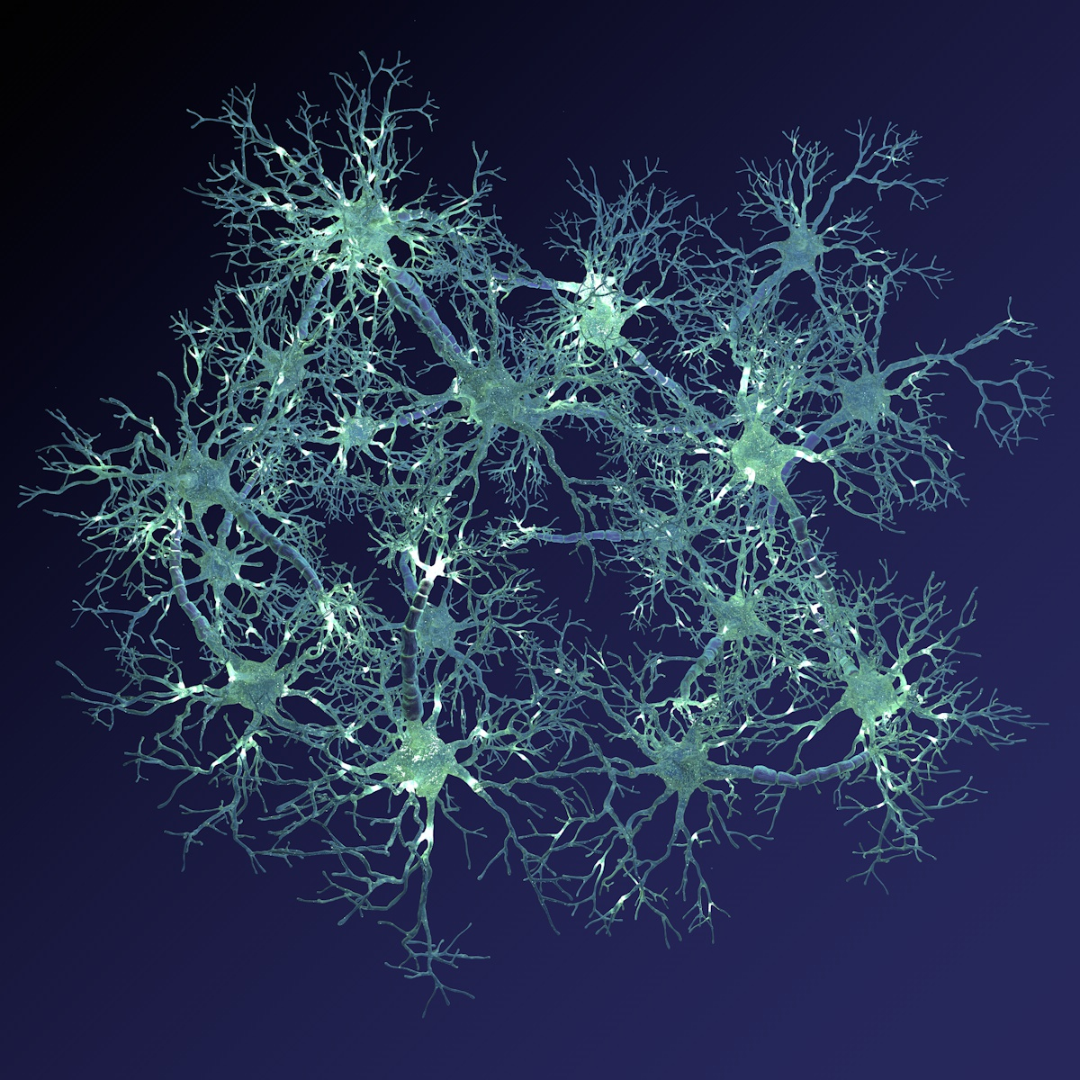 3d model neural network