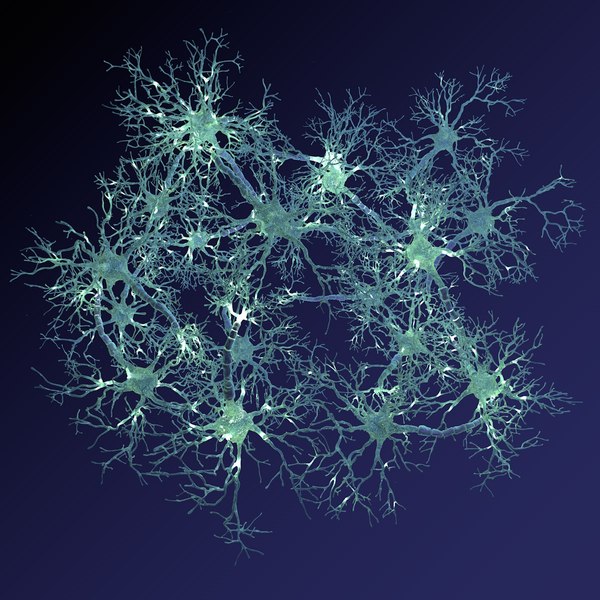 3d model neural network