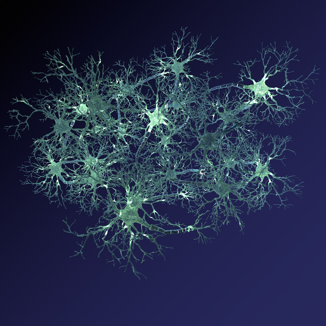 3d model neural network