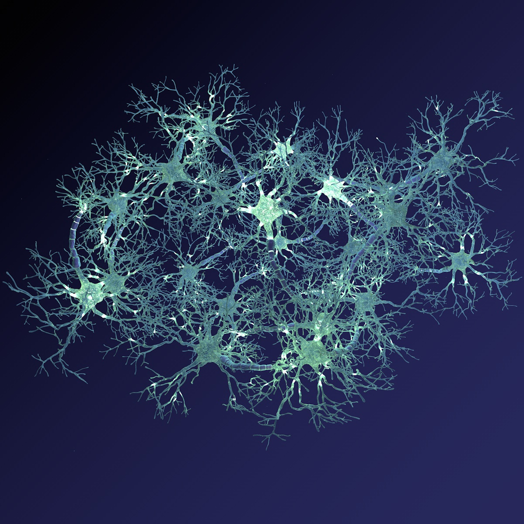 3d model neural network