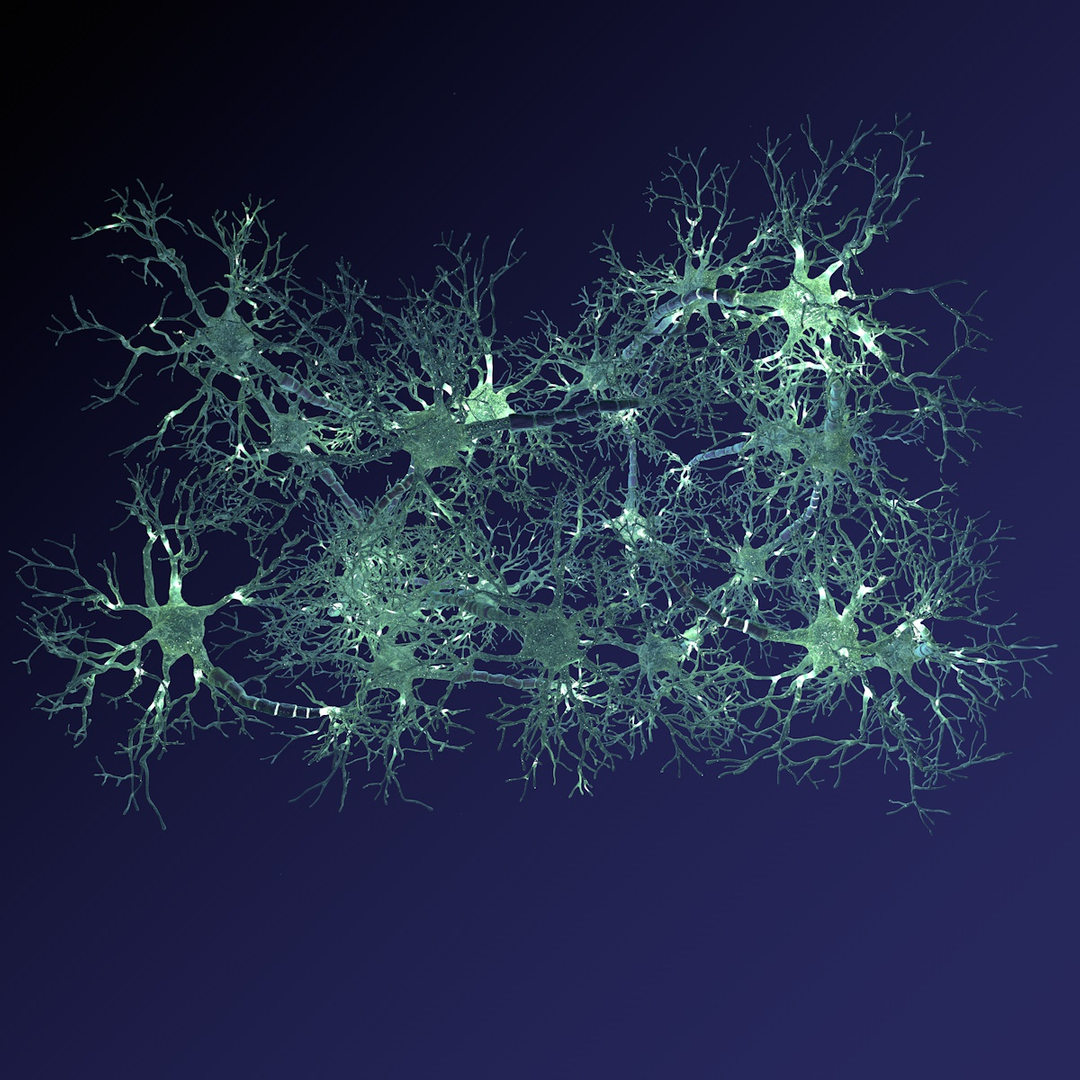 3d model neural network