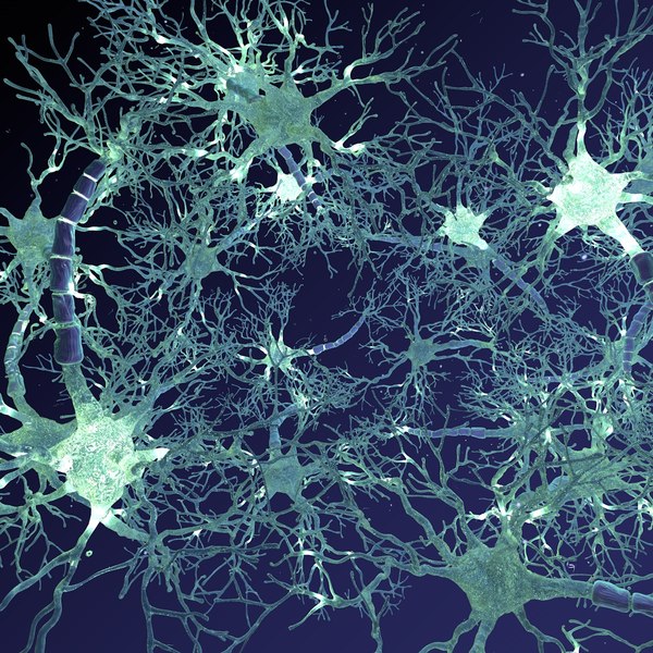 Free Neuron 3D Models for Download | TurboSquid