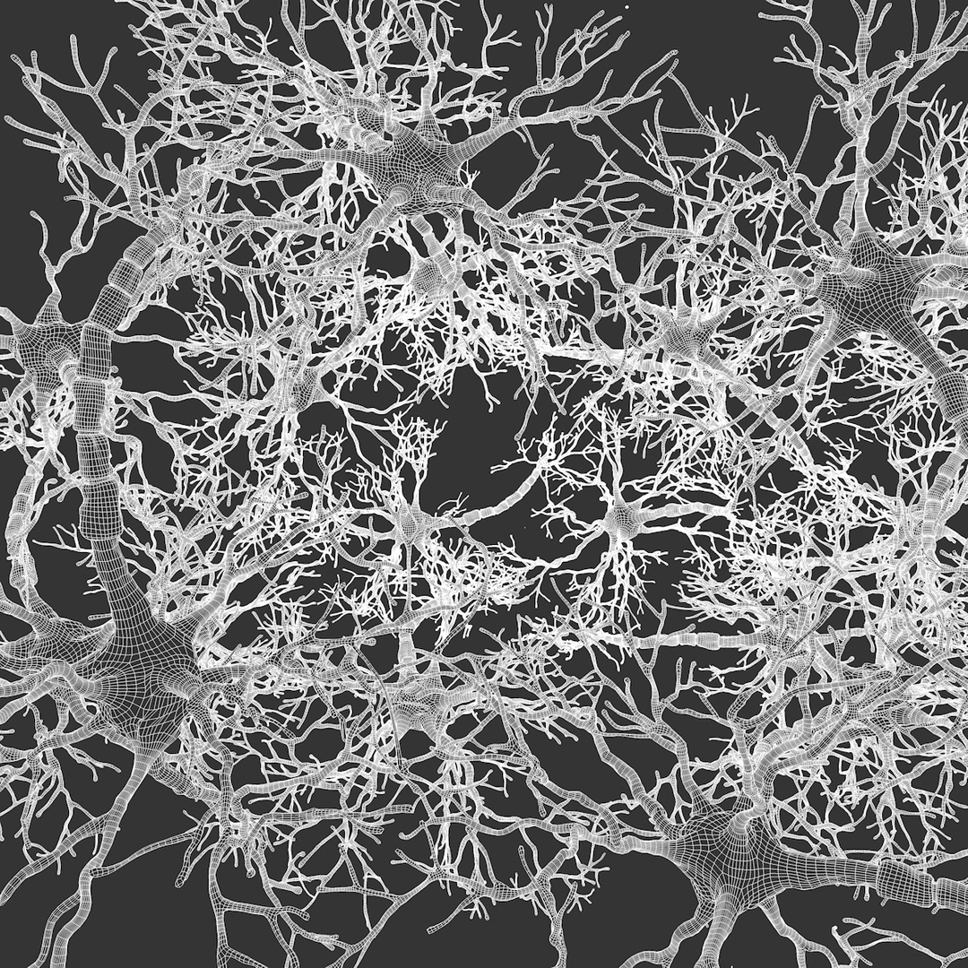 3d model neural network