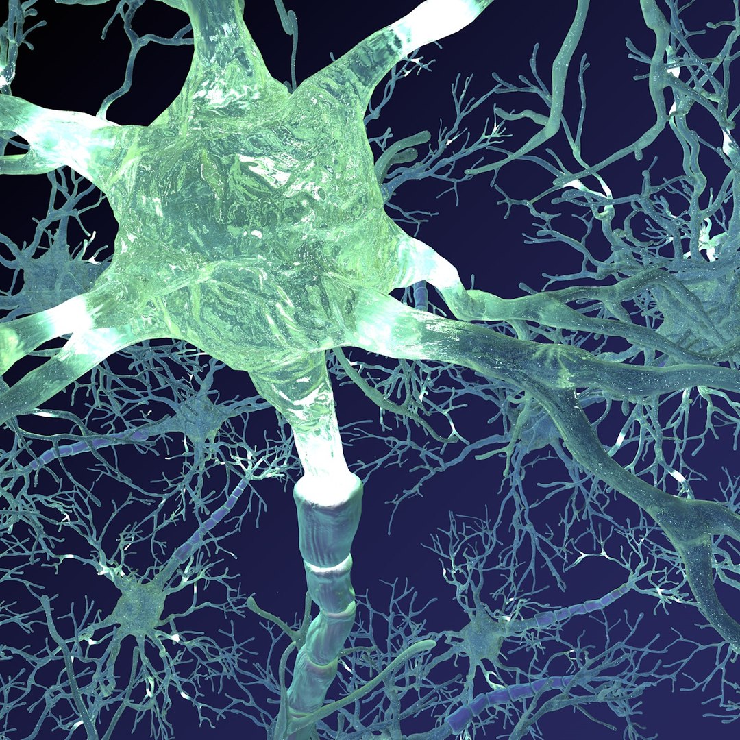 3d model neural network