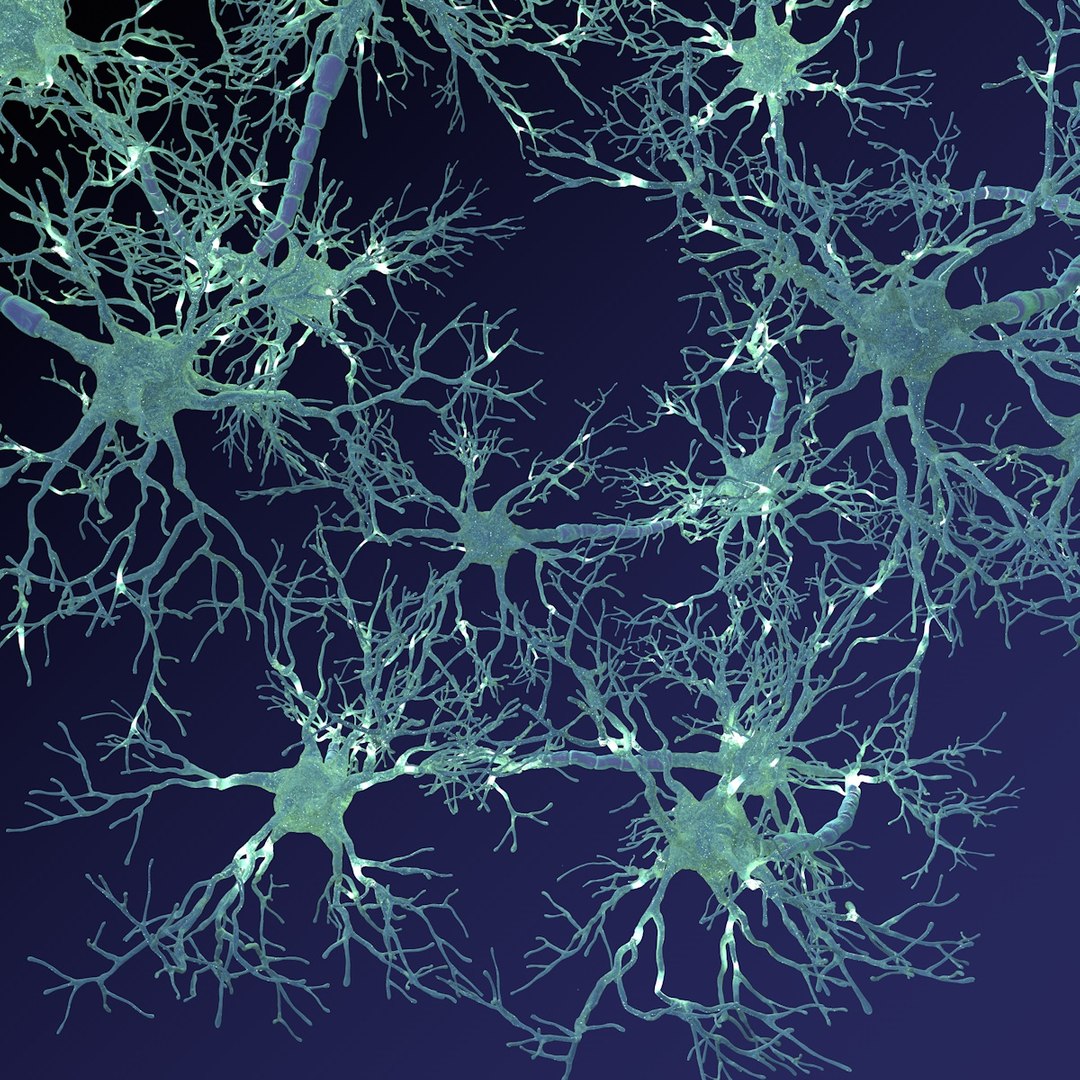 3d model neural network