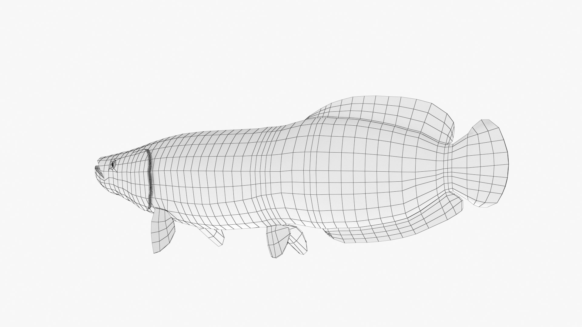 Arapaima Model - TurboSquid 1735263