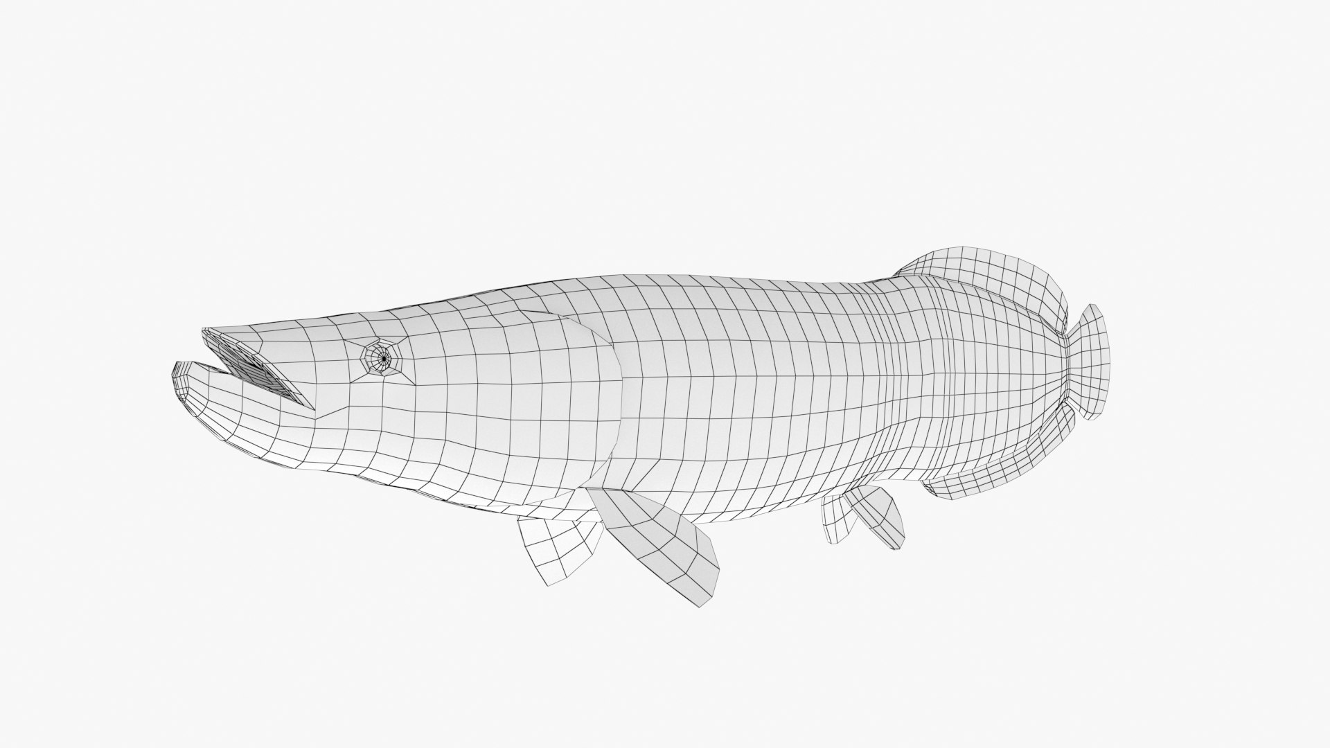 Arapaima Model - TurboSquid 1735263