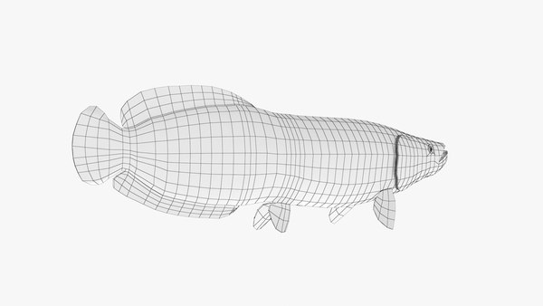 Arapaima model - TurboSquid 1735263