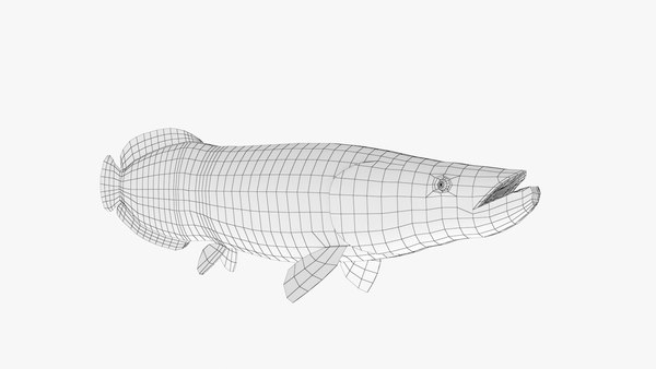 Arapaima model - TurboSquid 1735263
