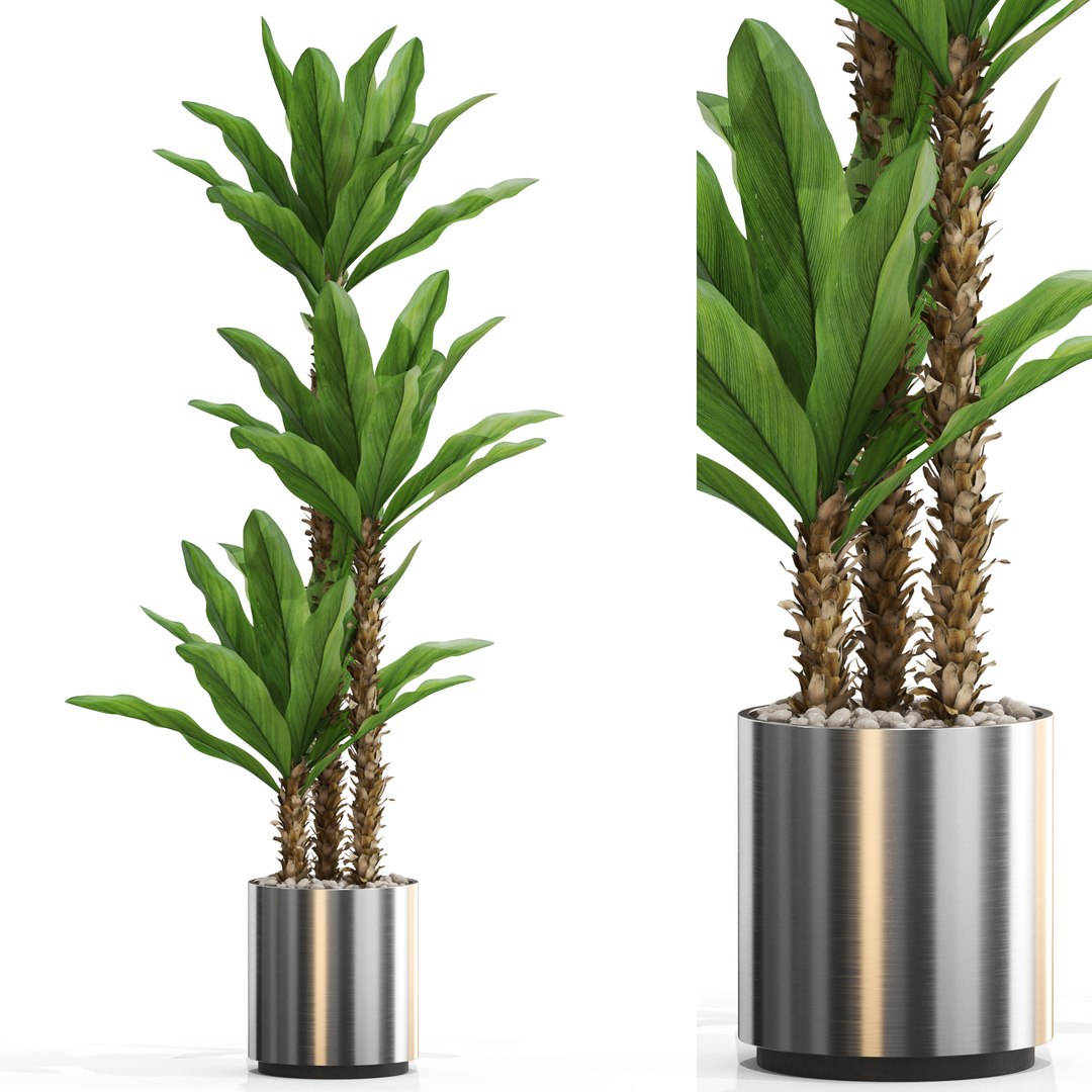 3D Model Plants Collection 715 - TurboSquid 1894141