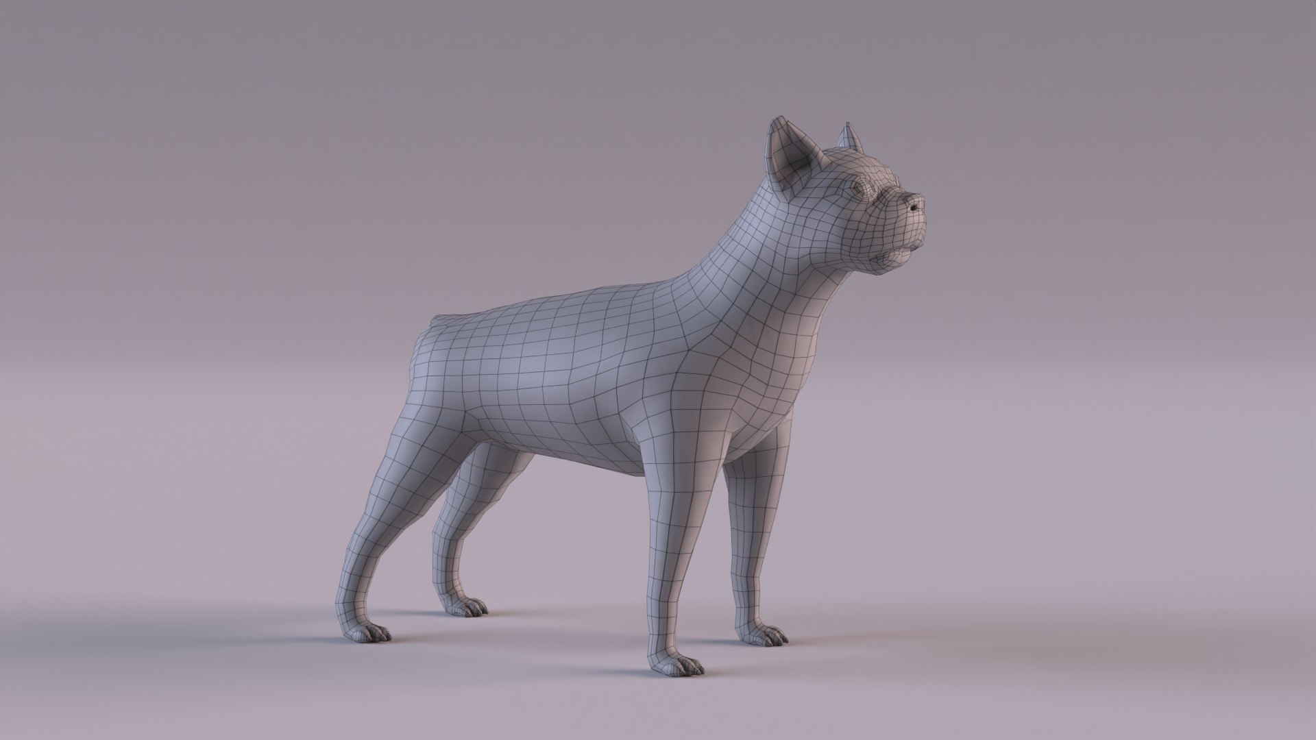Boston Terrier 3D Model - TurboSquid 1532445