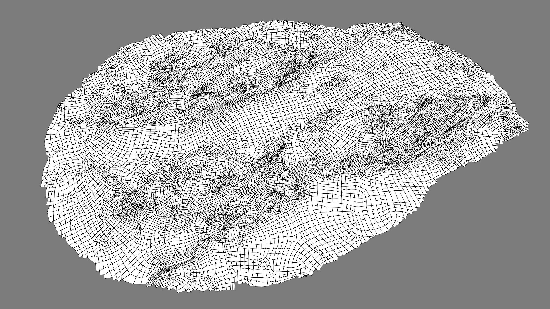 3D Model Assembly Ground Rock 10 - TurboSquid 2000485