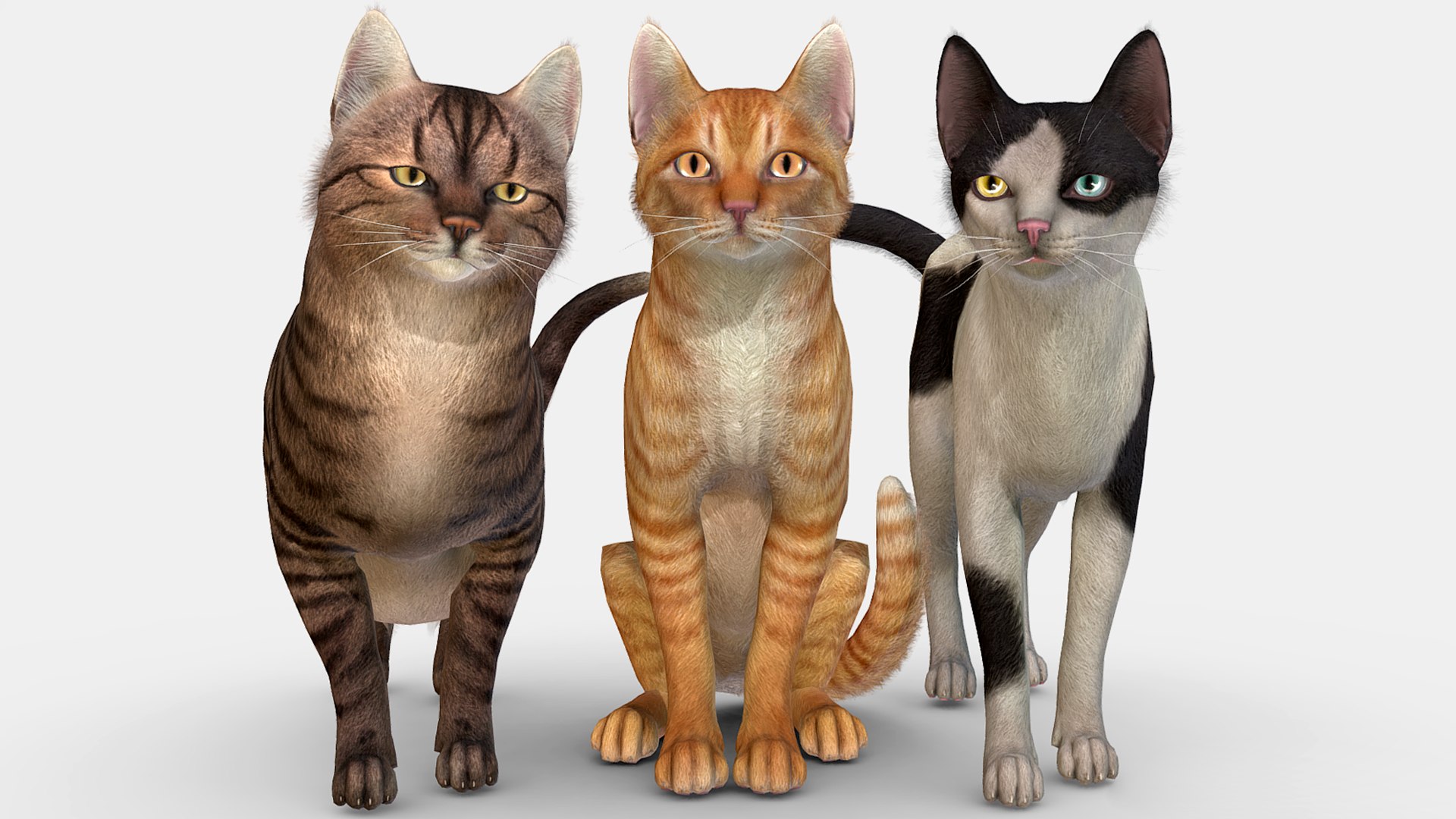 Cats Pack 3D Model - TurboSquid 2038640