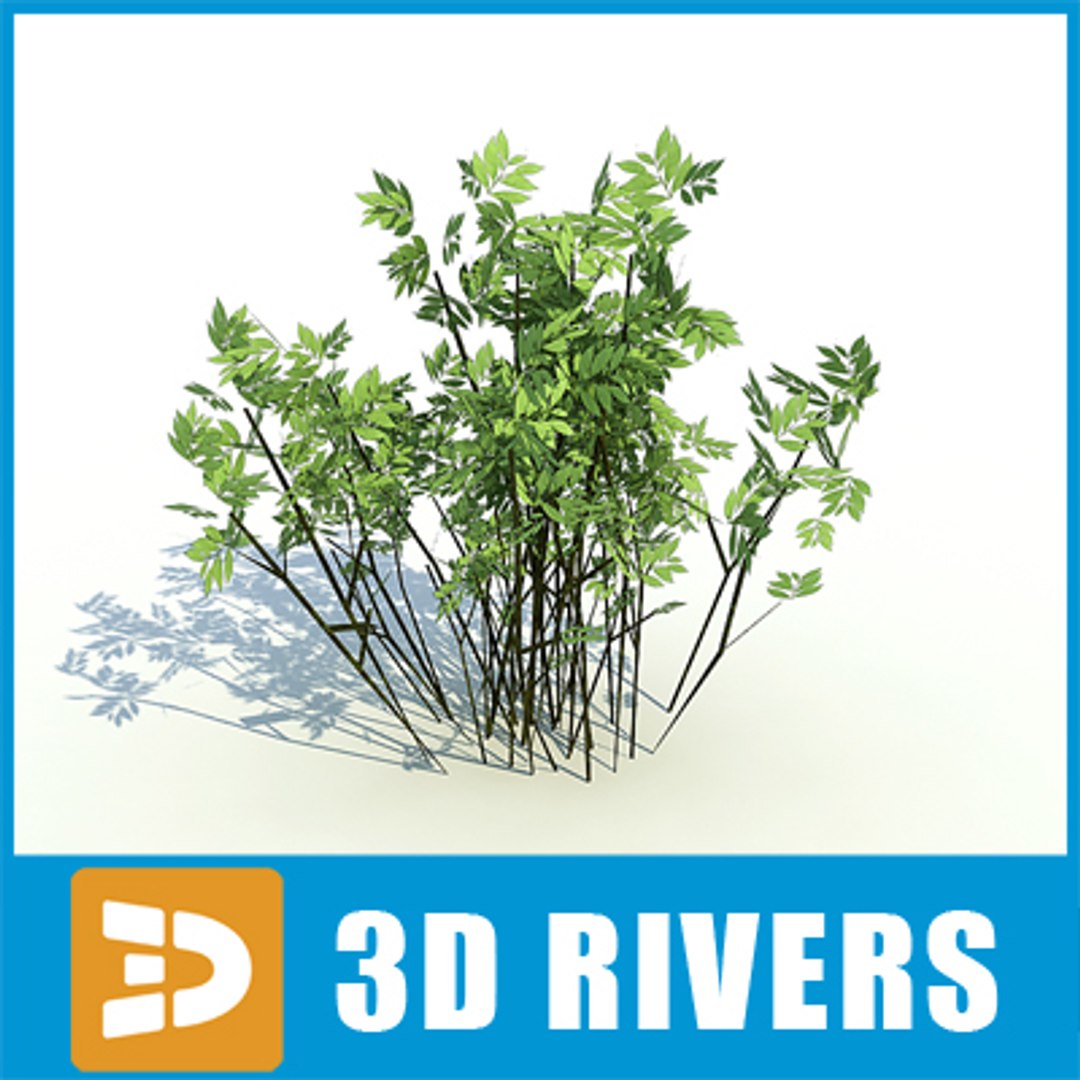 3d Model Bushes Island Plants
