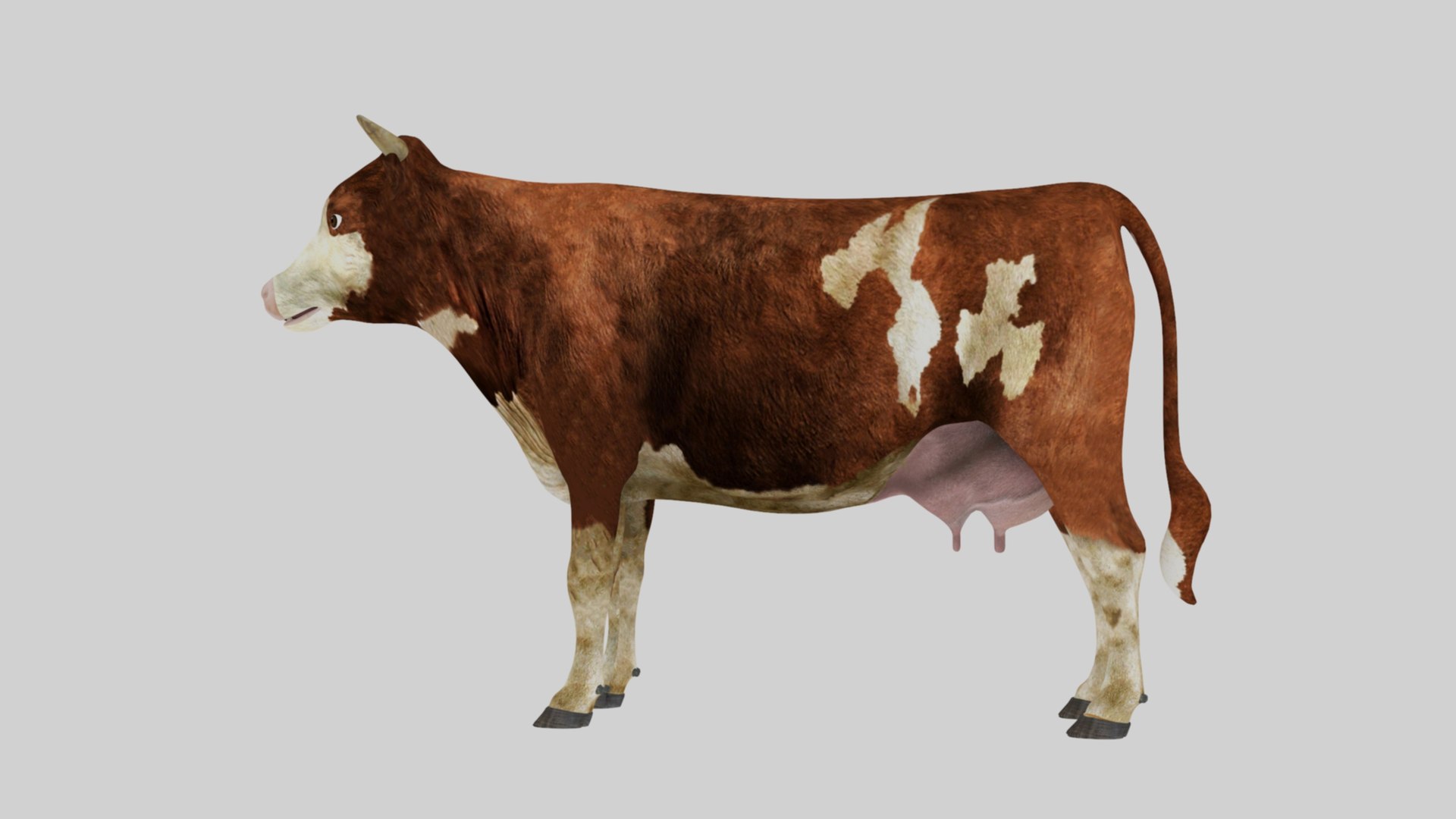 3D Low Poly Cow Poly Unwrapped 4 K model - TurboSquid 1956659
