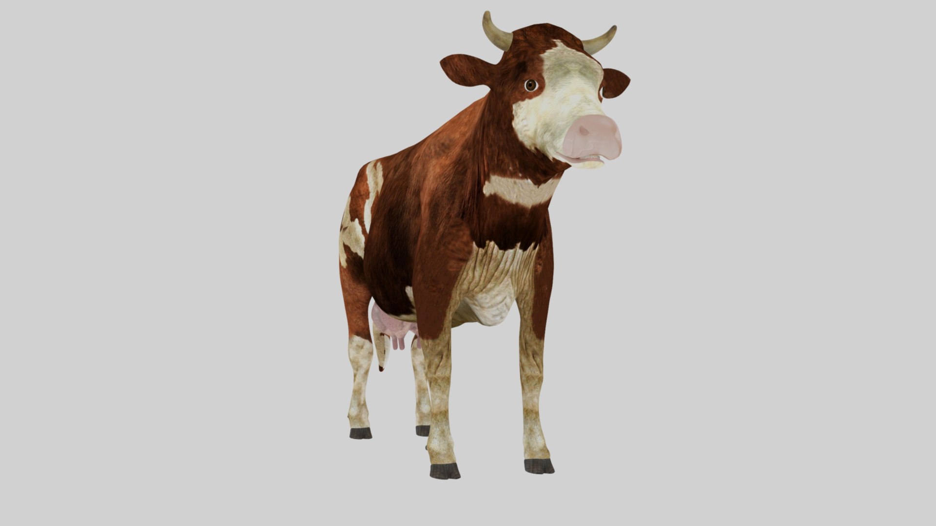 3D Low Poly Cow Poly Unwrapped 4 K model - TurboSquid 1956659