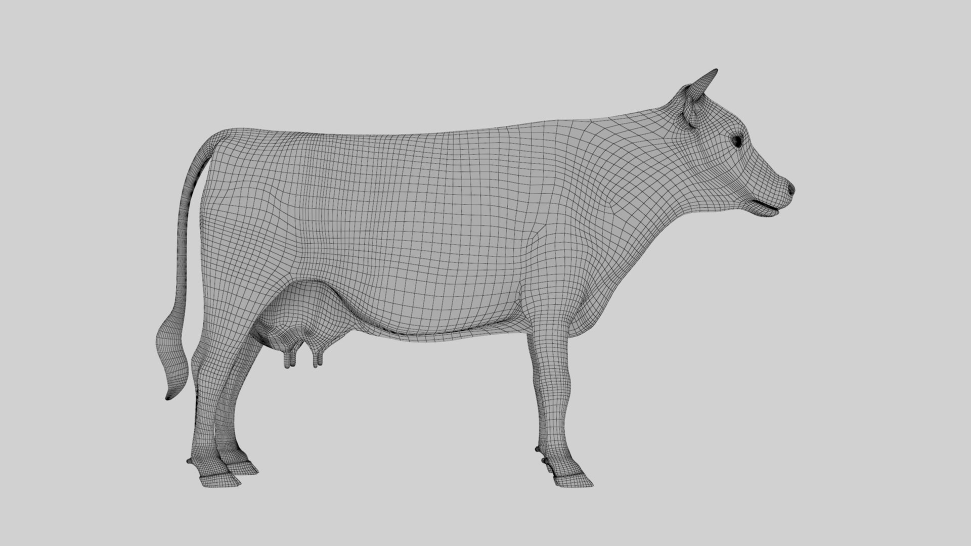 3D Low Poly Cow Poly Unwrapped 4 K model - TurboSquid 1956659
