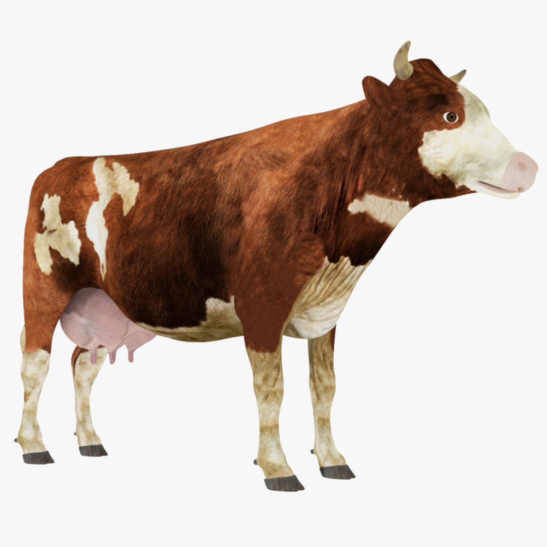 3D Low Poly Cow Poly Unwrapped 4 K model - TurboSquid 1956659