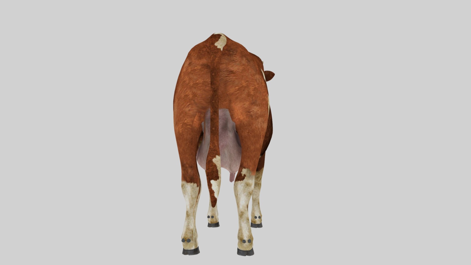 3D Low Poly Cow Poly Unwrapped 4 K model - TurboSquid 1956659