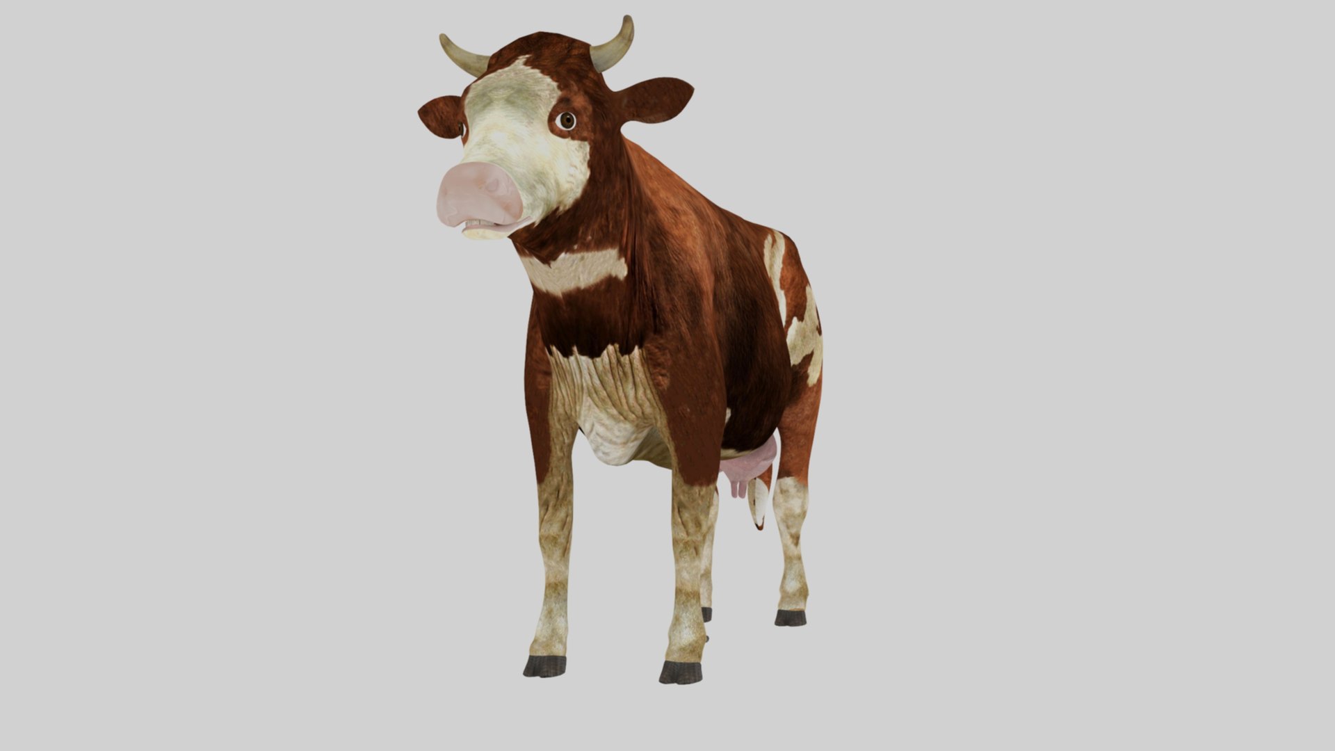 3D Low Poly Cow Poly Unwrapped 4 K model - TurboSquid 1956659