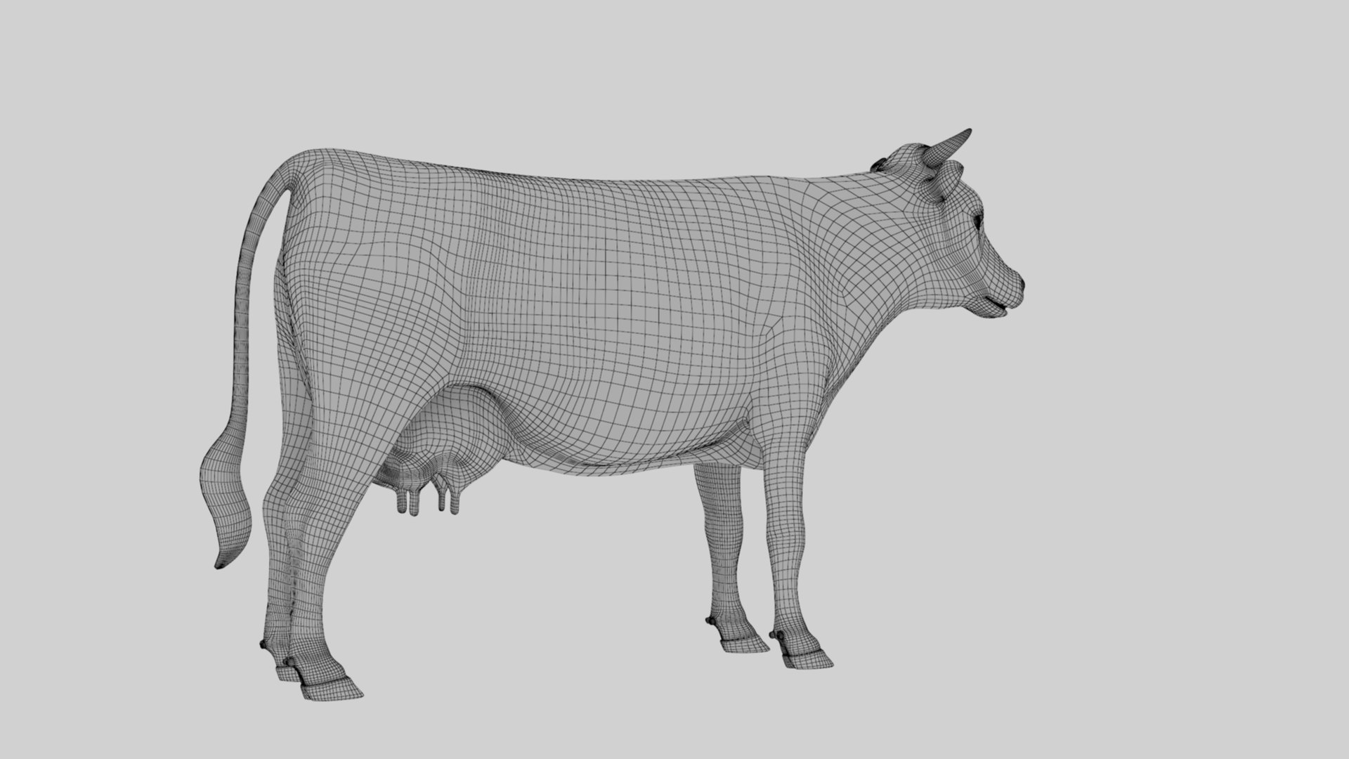 3D Low Poly Cow Poly Unwrapped 4 K model - TurboSquid 1956659