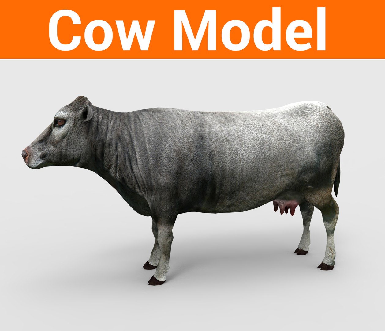3D Cow Cattle - TurboSquid 1199559