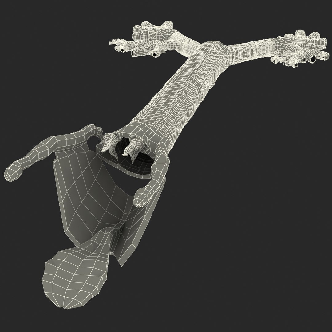 Trachea Bronchi 3ds
