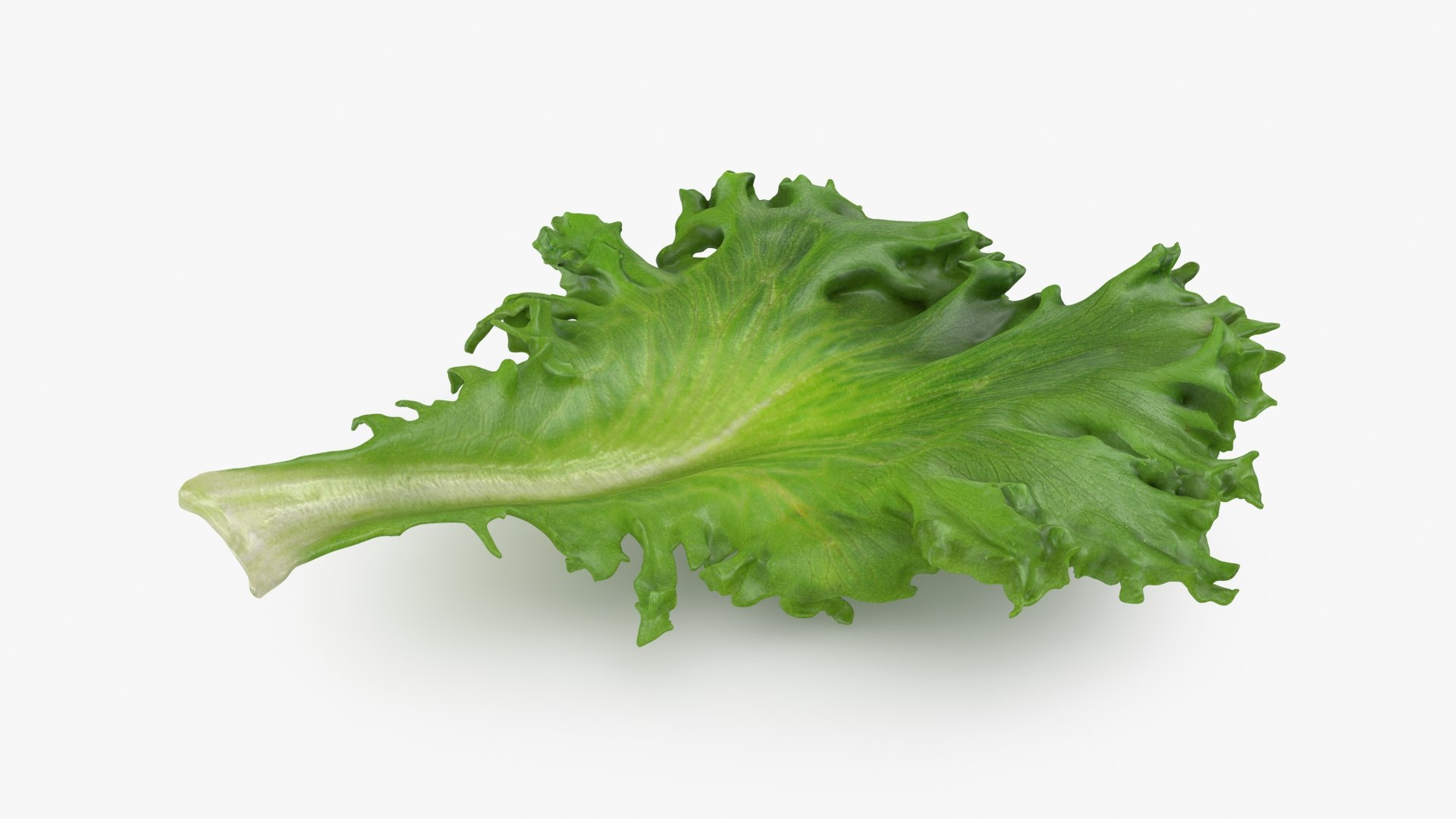 3D Frillice Iceberg Collection Model - TurboSquid 2228929