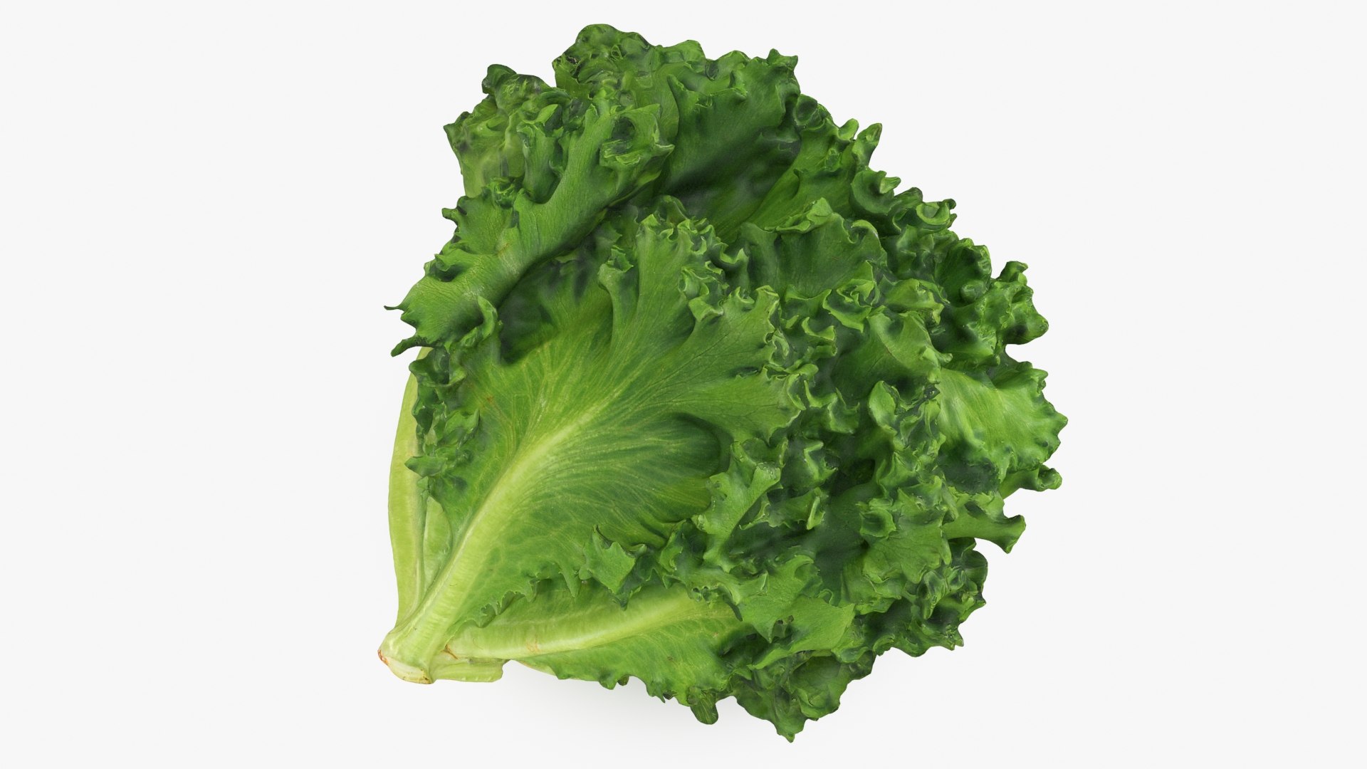 3D Frillice Iceberg Collection Model - TurboSquid 2228929