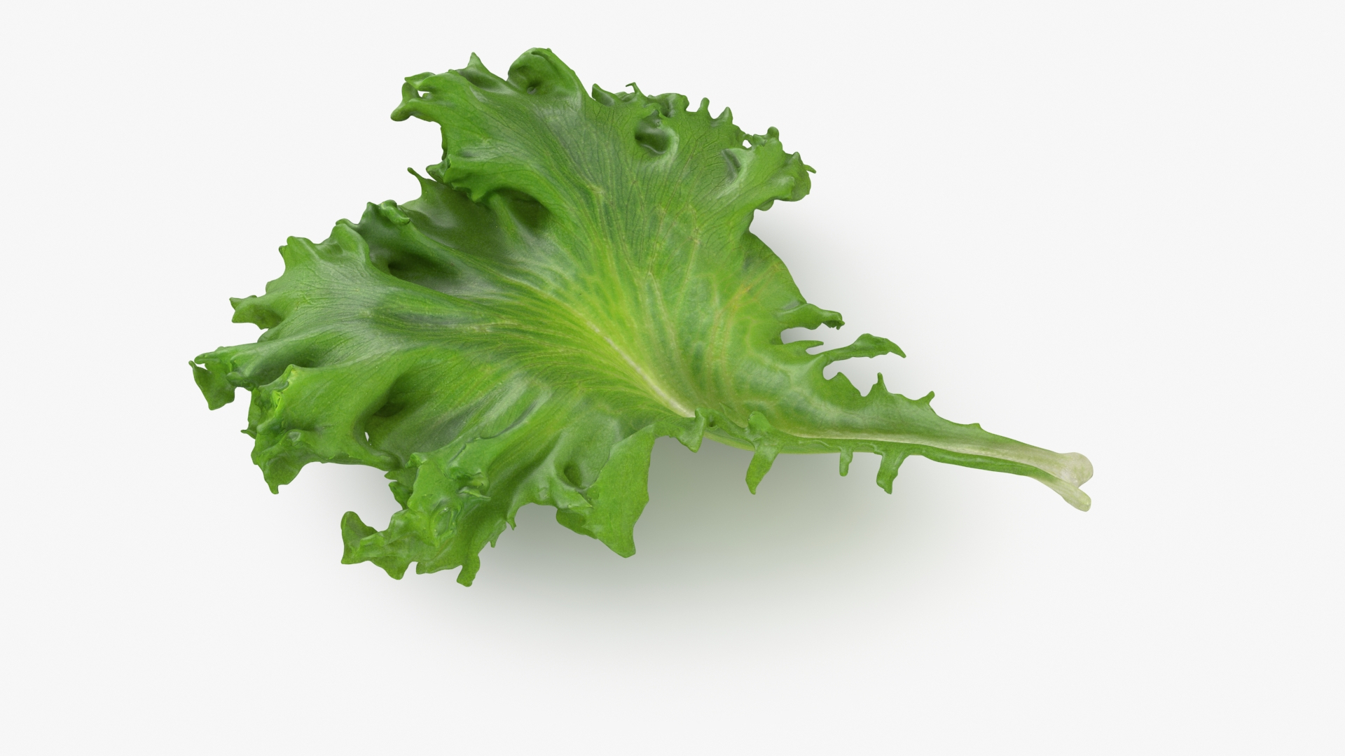 3D Frillice Iceberg Collection Model - TurboSquid 2228929