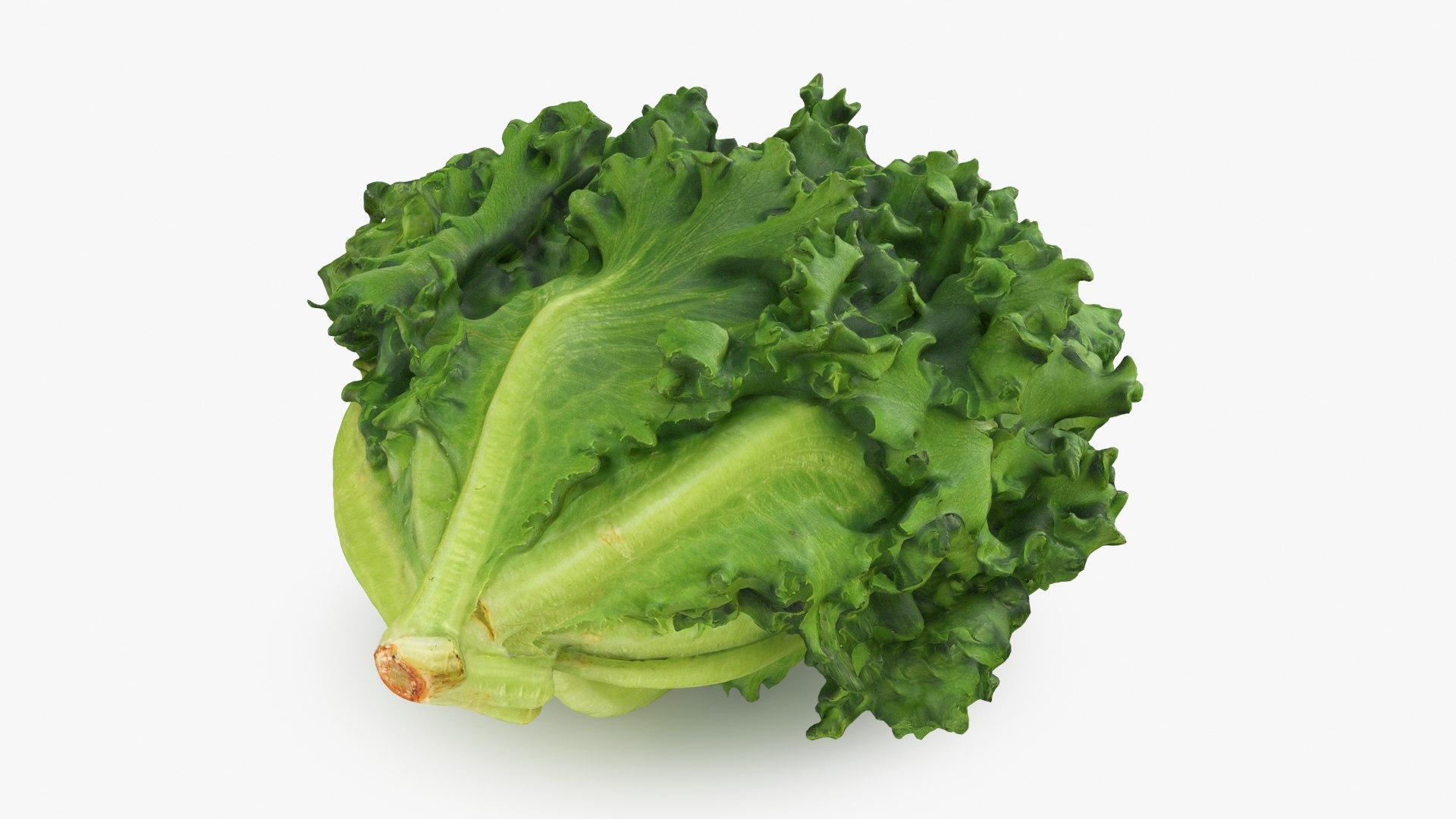 3D Frillice Iceberg Collection Model - TurboSquid 2228929