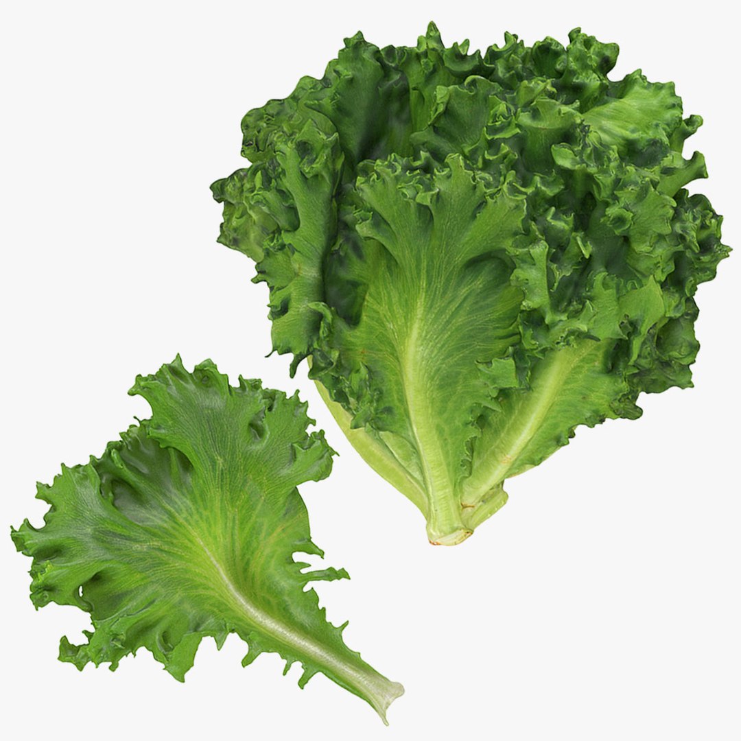 3D Frillice Iceberg Collection Model - TurboSquid 2228929