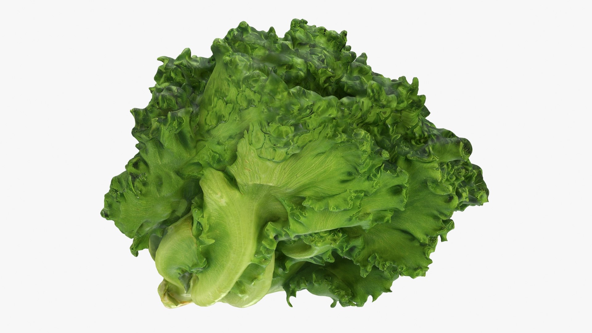 3D Frillice Iceberg Collection Model - TurboSquid 2228929