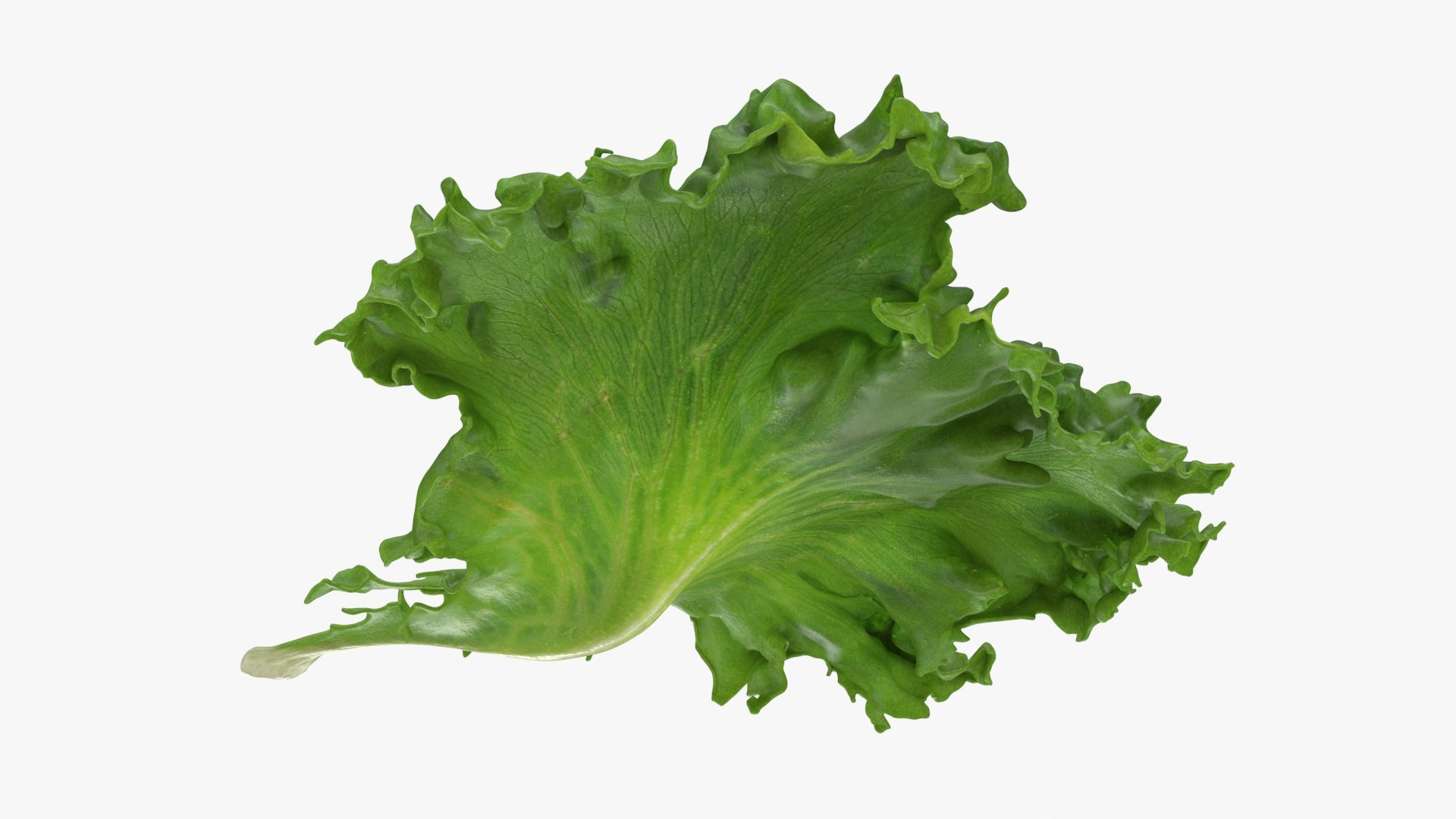 3D Frillice Iceberg Collection Model - TurboSquid 2228929