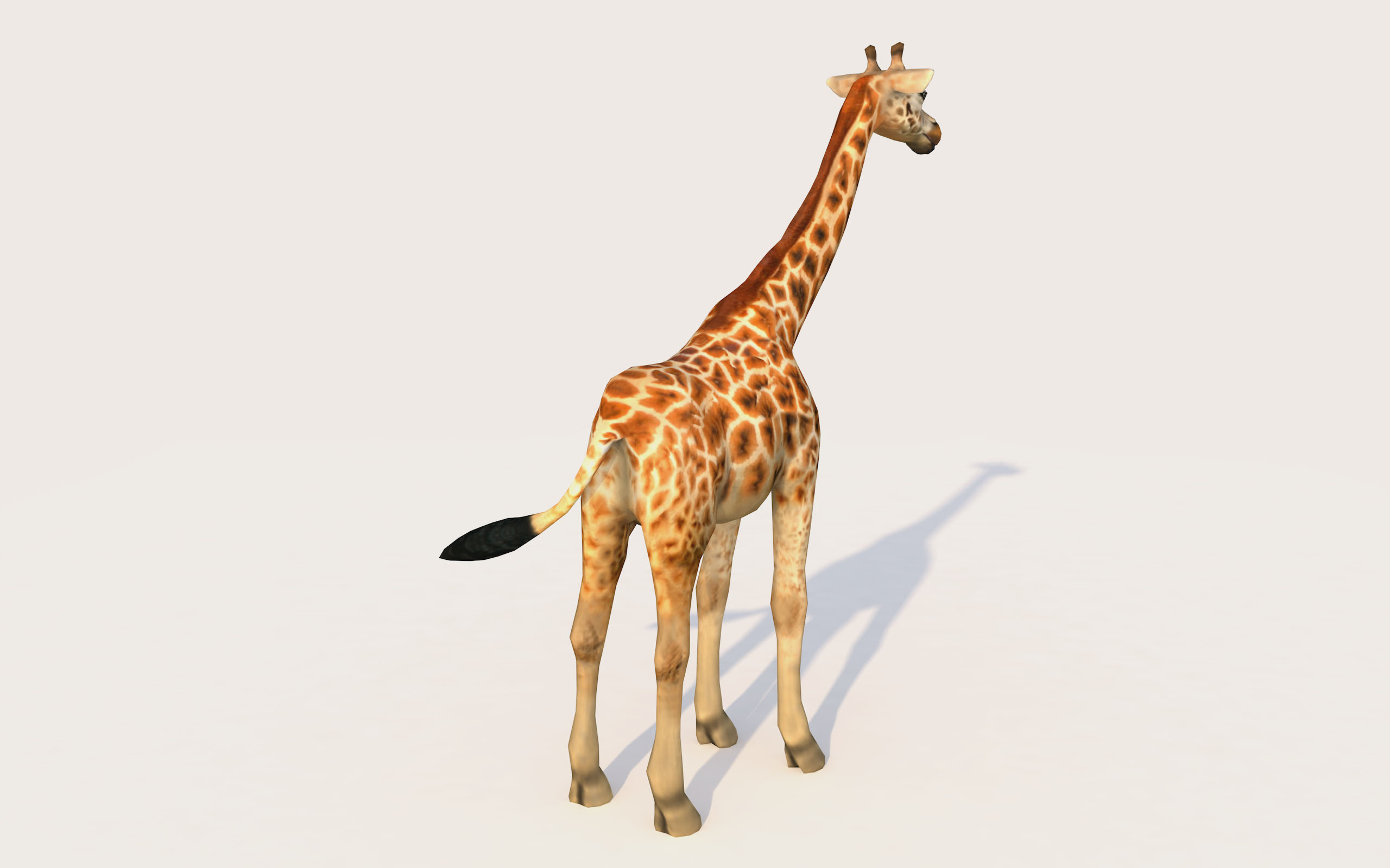 Giraffe animations natural 3D model - TurboSquid 1653289