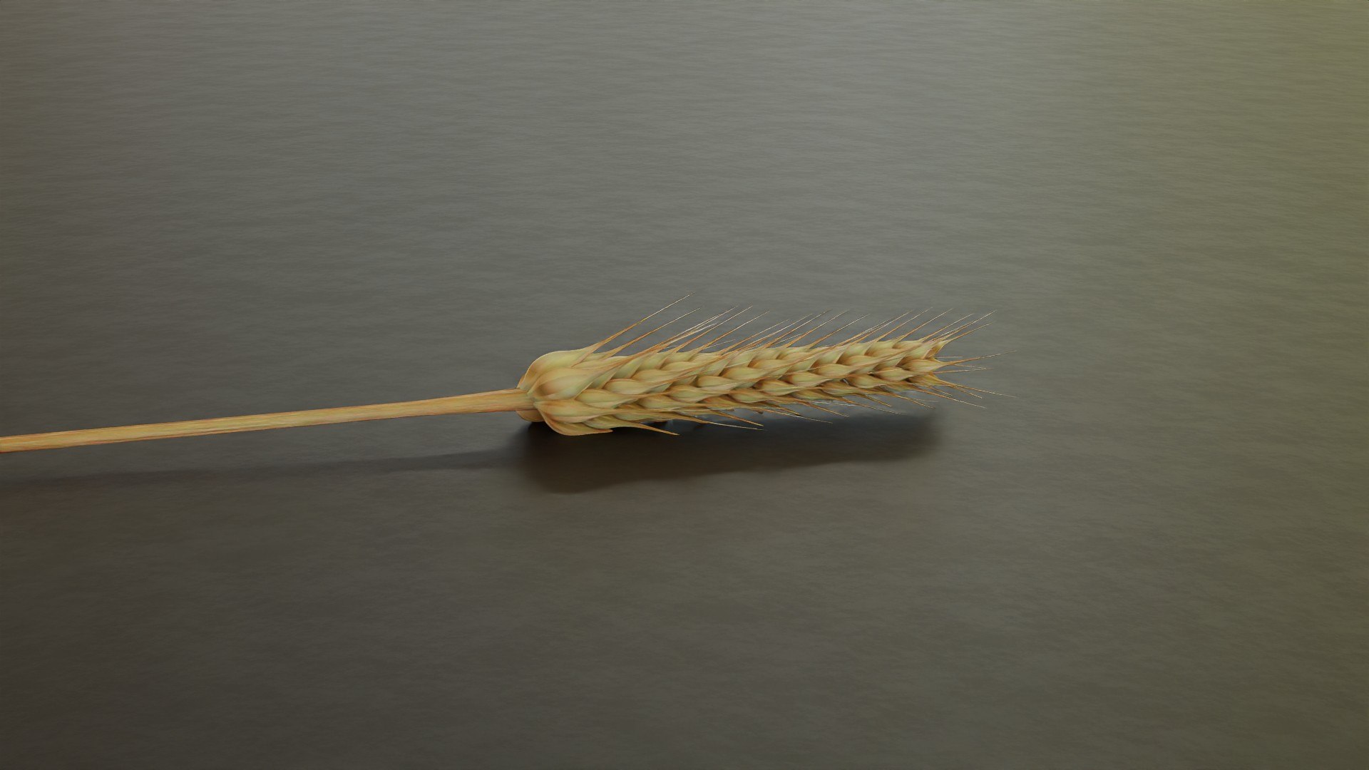 3D Ears Of Wheat Blender Geometry Node Model - TurboSquid 1960891