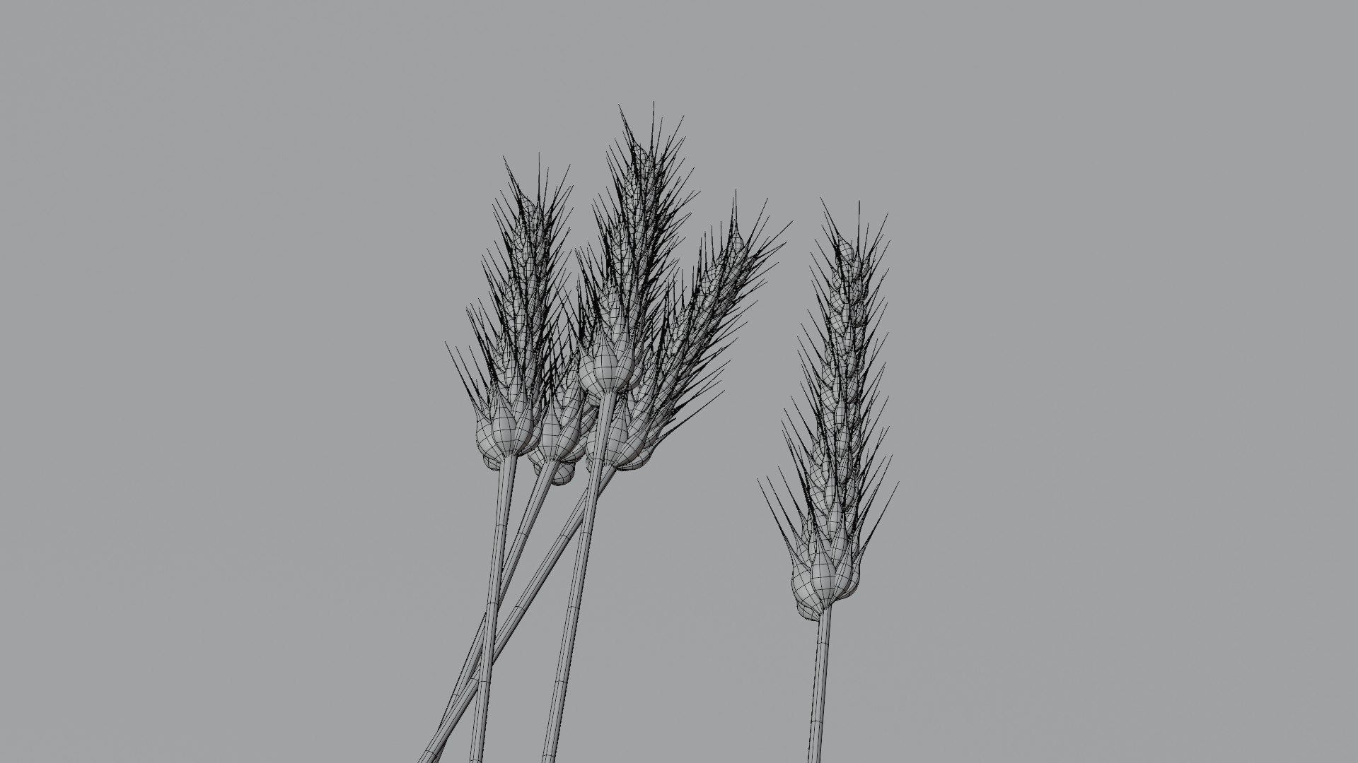 3D Ears Of Wheat Blender Geometry Node Model - TurboSquid 1960891