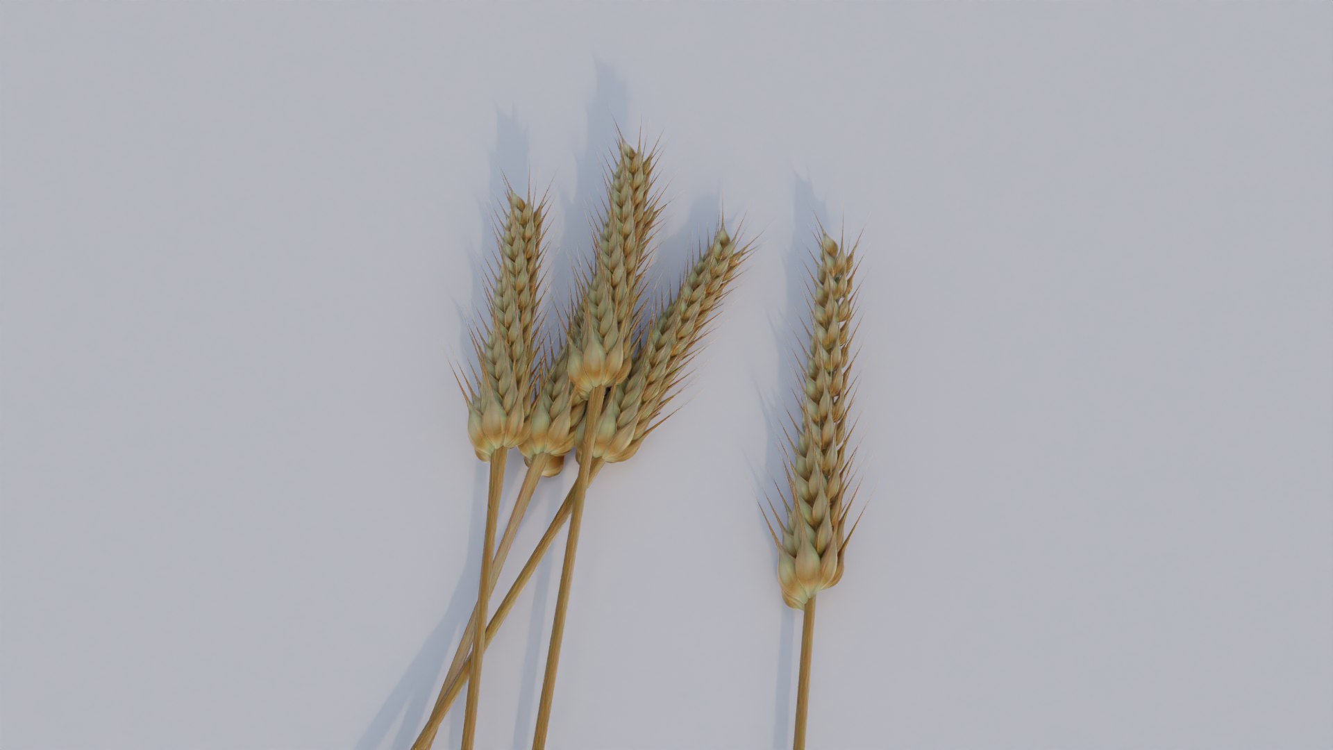 3D Ears Of Wheat Blender Geometry Node Model - TurboSquid 1960891
