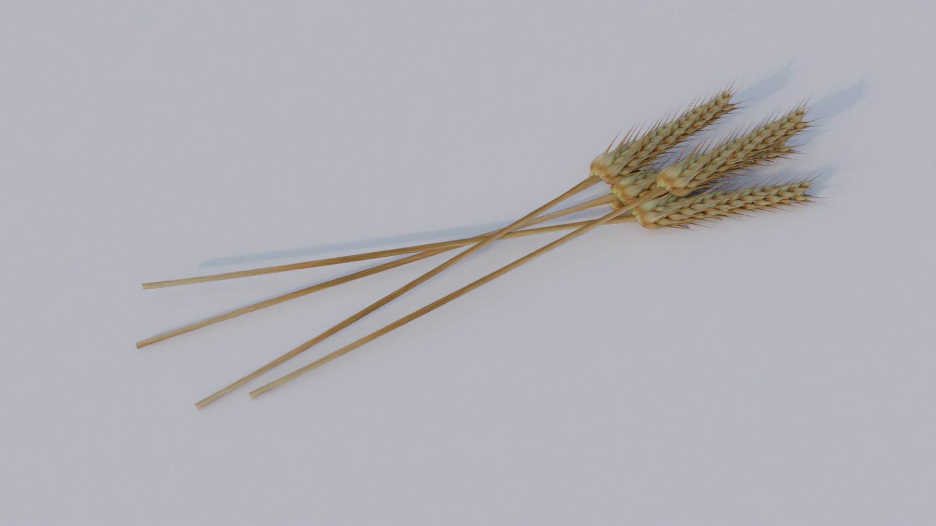 3D Ears Of Wheat Blender Geometry Node Model - TurboSquid 1960891