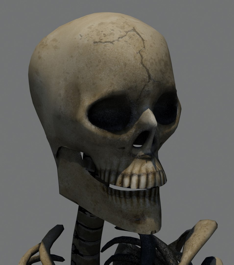 3d Max Human Skeleton