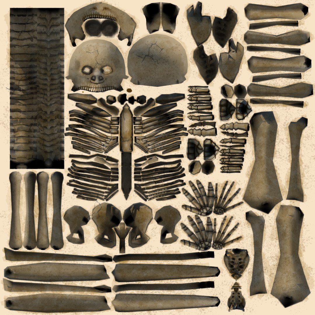 3d Max Human Skeleton